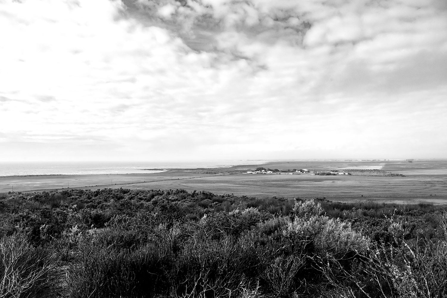 LA Farms Retail Butchery – L.A. FARMS